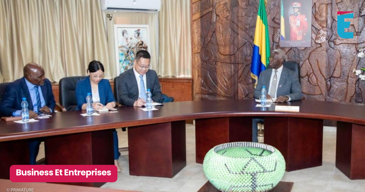 Après le BTP au Cameroun, le Chinois China Railway 20 lorgne le marché ...