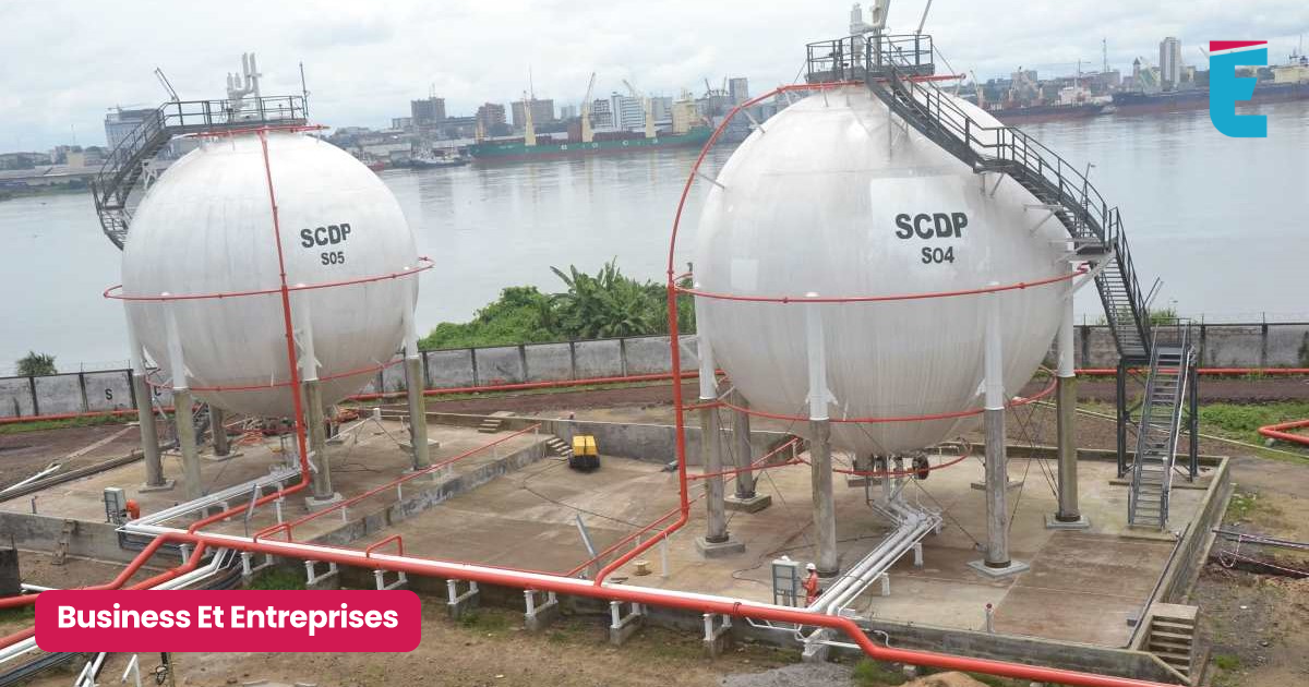 Cameroun : la SCDP veut investir 9 milliards FCFA pour augmenter ses ...