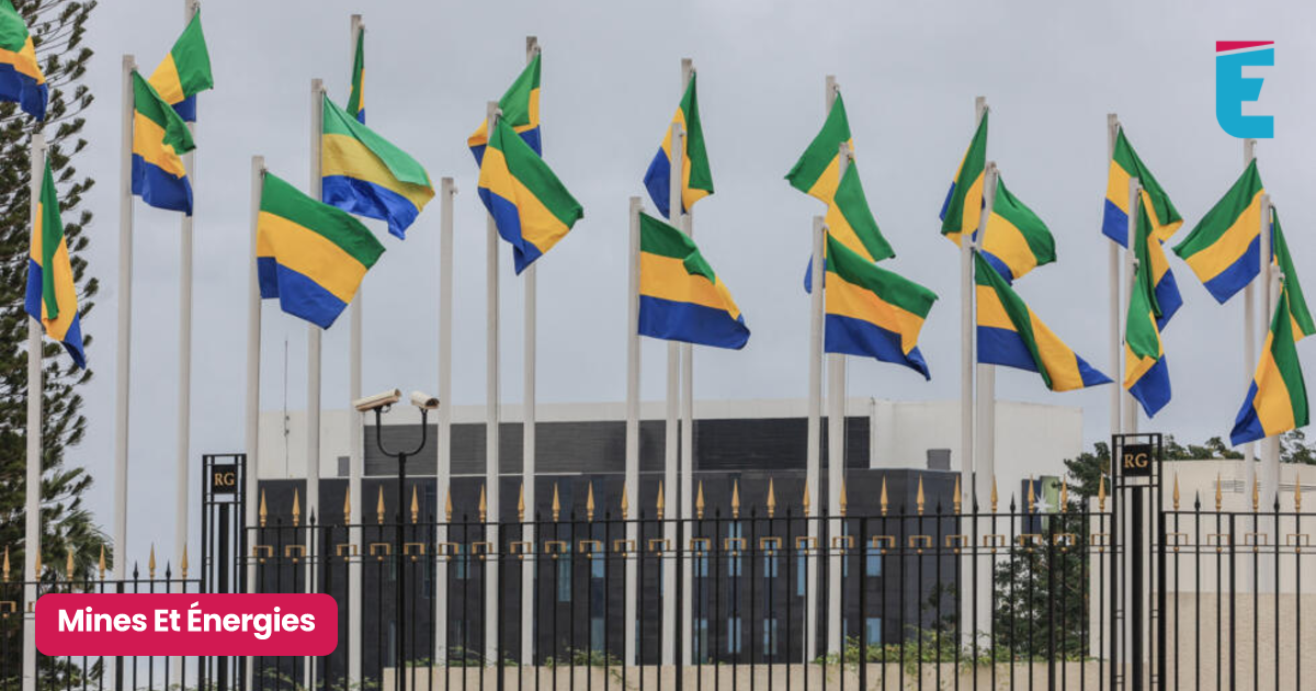 Crise énergétique au Gabon : pourquoi Libreville a été privée d ...