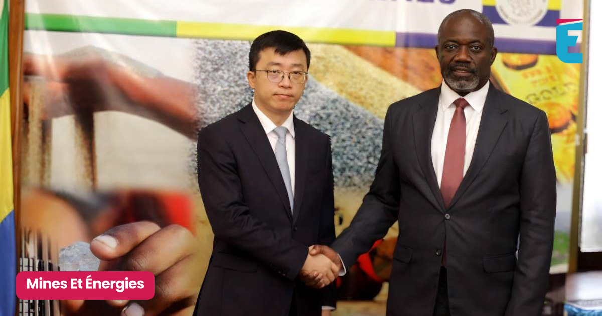 Gabon : Le Chinois CRBC mise 15 milliards USD pour trois méga-projets ...