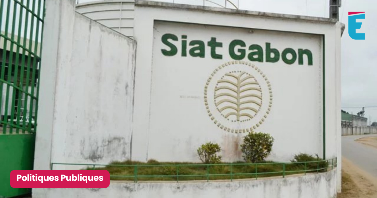 Le Gabon débourse 4 milliards de Fcfa pour entrer dans le capital du ...