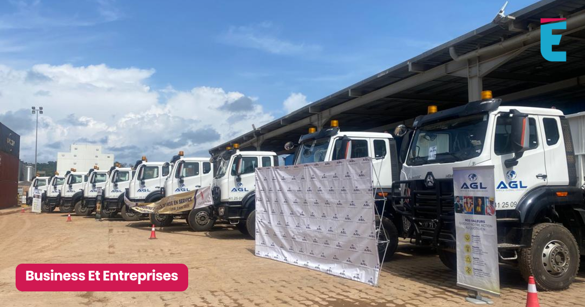 Port de Kribi : AGL Cameroun annonce un plan d’investissement de 12 ...