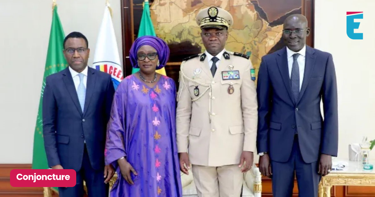 Présidence de la BAD : Oligui Nguema apporte son soutien à Amadou Hott ...